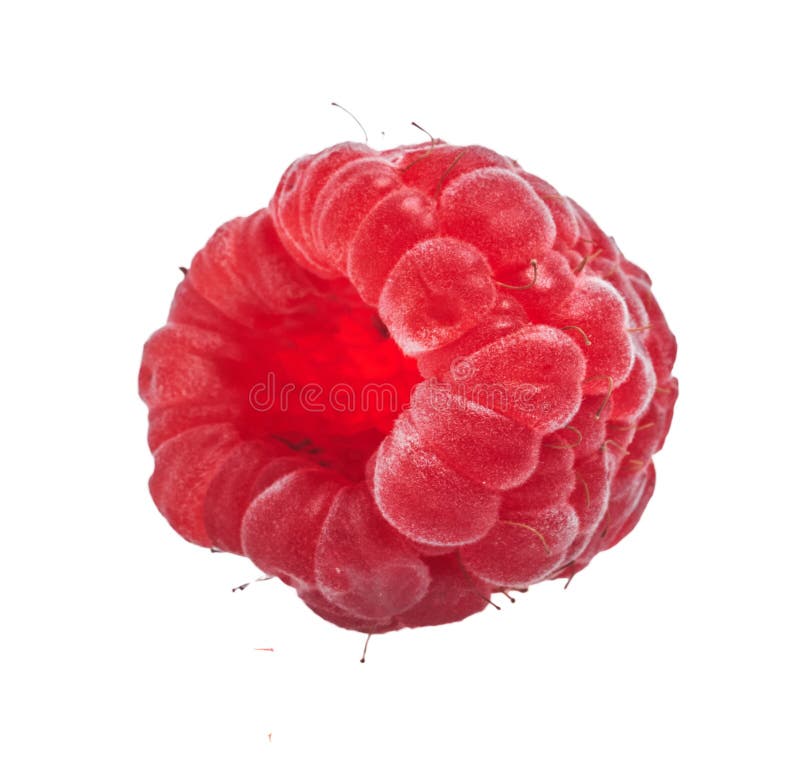 Delicious Single Raspberry Over Isolated White Background Stock Photo ...