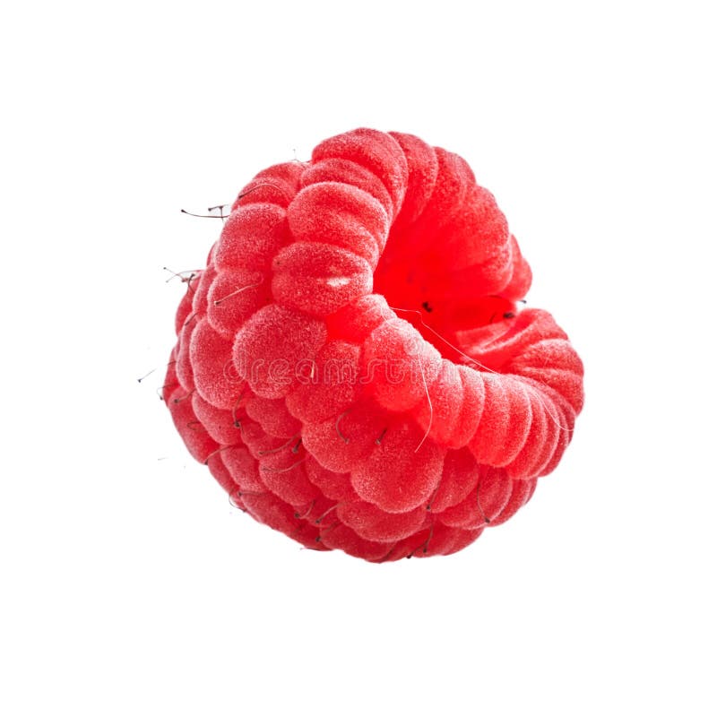 Delicious Single Raspberry Over Isolated White Background Stock Photo ...