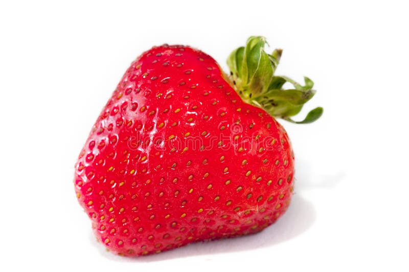 Delicious Single Strawberry on White. Stock Photo - Image of summer ...