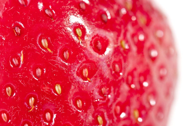 Delicious Single Strawberry on White. Stock Photo - Image of nutritious ...