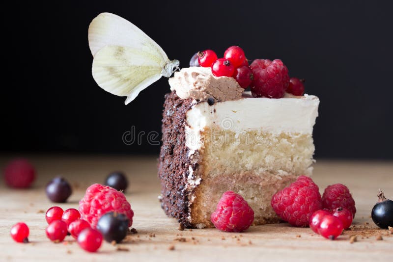 Delicious slice of cake stock image. Image of delicious - 170915661