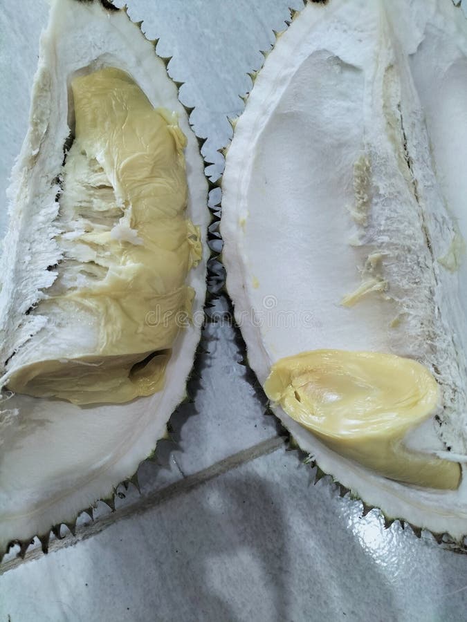Delicious but Smell Popular Fruit Called Durian Stock Image - Image of ...