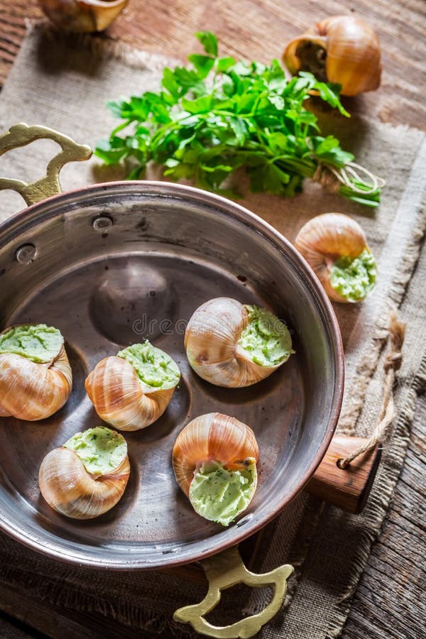 Delicious Snails with Garlic Butter Stock Image - Image of cuisine ...