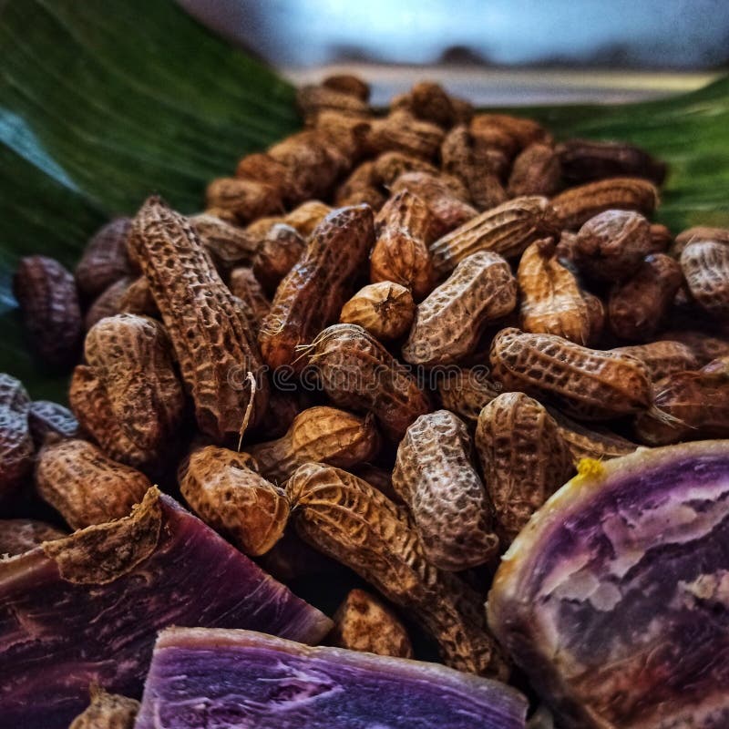 Steamed peanuts stock photo. Image of chewy, macro, diet - 24874150