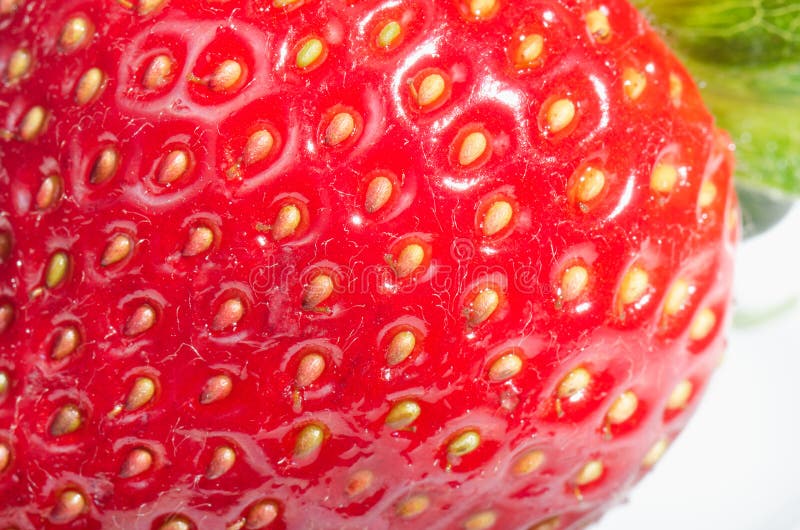 Delicious strawberry stock image. Image of sweet, round - 25290475