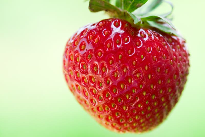 Delicious strawberry stock image. Image of healthy, fruit - 6429421