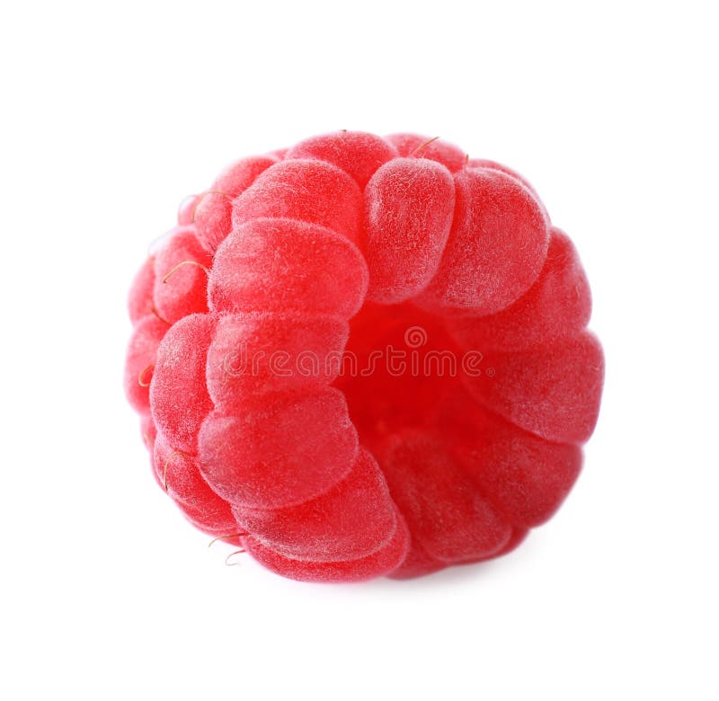 Delicious Sweet Ripe Raspberry Isolated Stock Photo - Image of plant ...