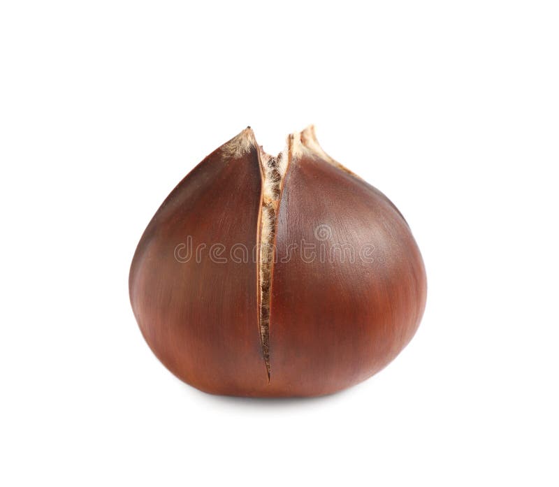 Delicious Sweet Roasted Edible Chestnut Isolated on White Stock Photo ...