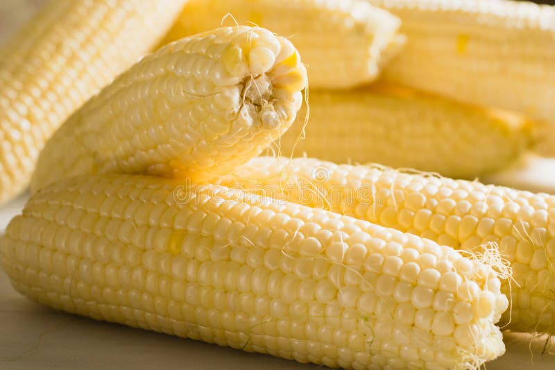 Delicious, Sweet White Corn on a Light Table Close-up Stock Photo ...