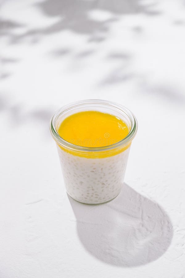Delicious Tapioca Pudding with Mango Puree Topping on Bright Background ...