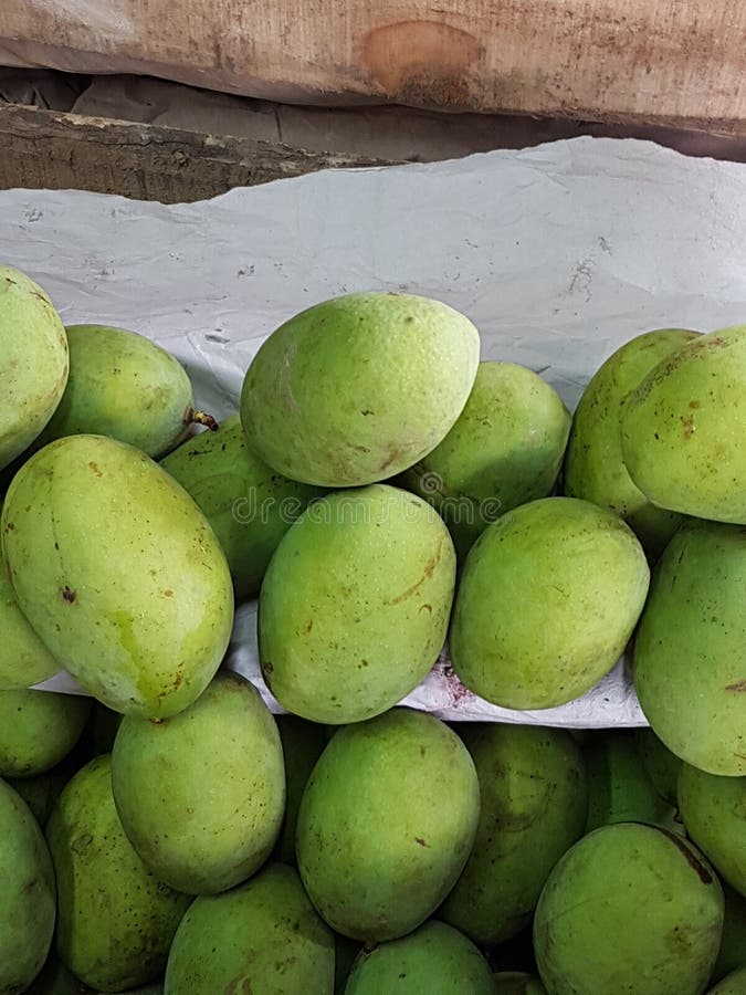 Delicious Taste of Mangoes Fruits Stock Image - Image of food, apple ...