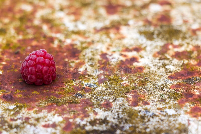 Delicious and Tasty Raspberry on the Colorful Vintage Background Stock ...