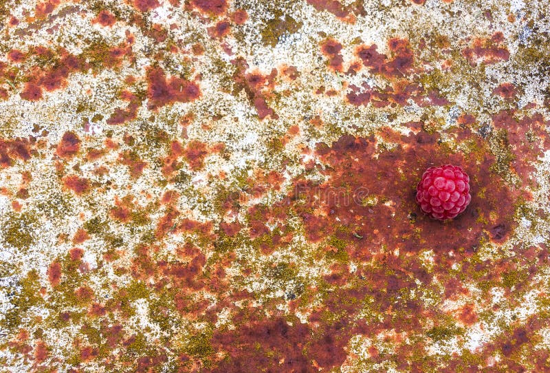 Delicious and Tasty Raspberry on the Colorful Vintage Background Stock ...