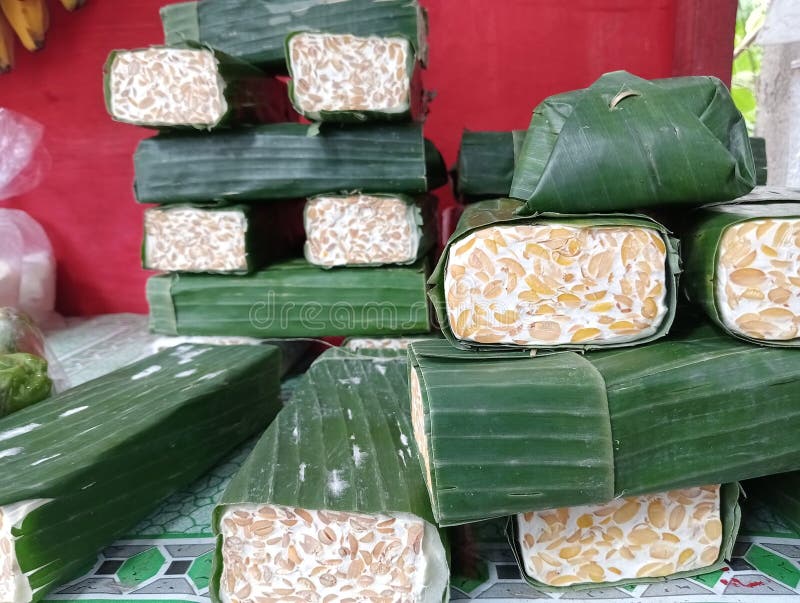 Delicious Tempe Made from Fermented Soya Bean Stock Image - Image of ...