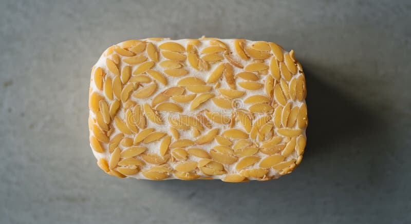 Delicious Tempeh Block on a Gray Surface Stock Illustration ...
