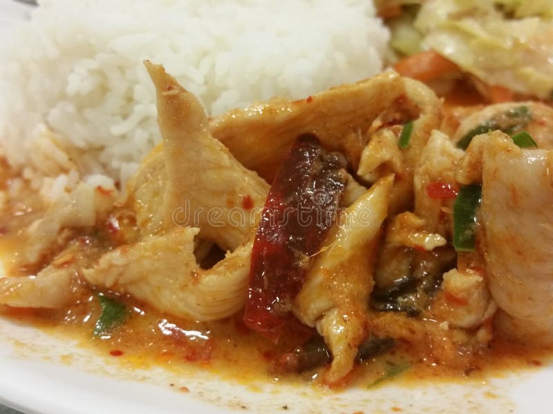 Delicious Thai Food Chicken Panang Curry Stock Photo - Image of chicken ...
