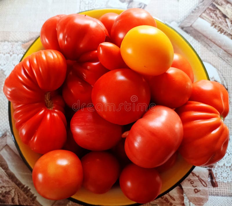 Delicious Tomatoes in a Round Container Stock Image - Image of ...