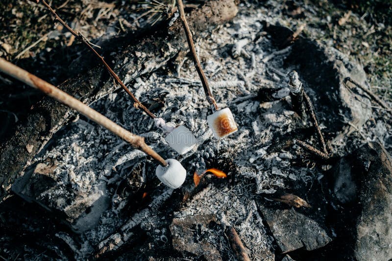 Delicious White Fluffy Roasted Marshmallows in Front of Extinguished ...