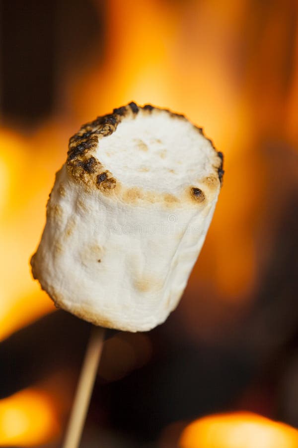 Delicious White Fluffy Roasted Marshmallows Stock Photo - Image of ...