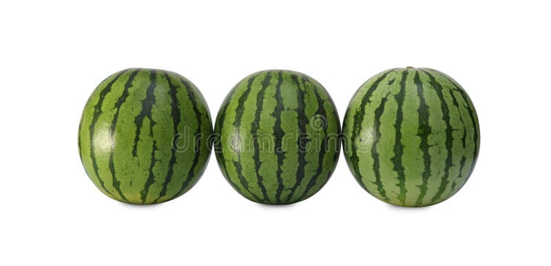 Delicious Whole Ripe Watermelons Isolated on White Stock Image - Image ...