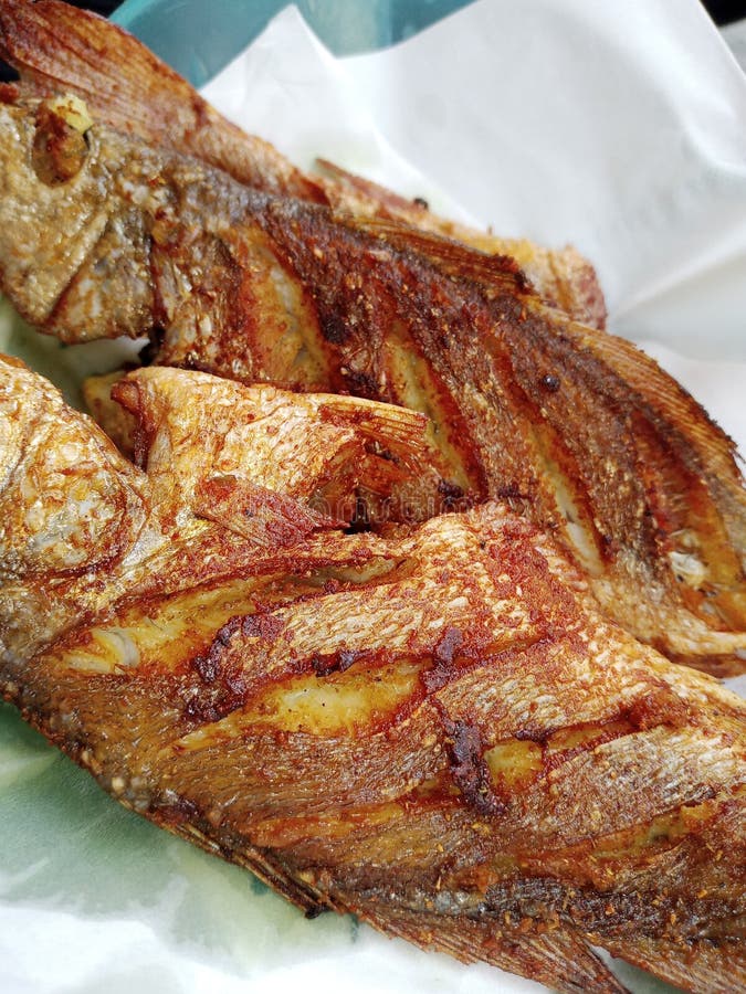 Delicious Yellow Spice Fried Fish Stock Photo - Image of fish ...