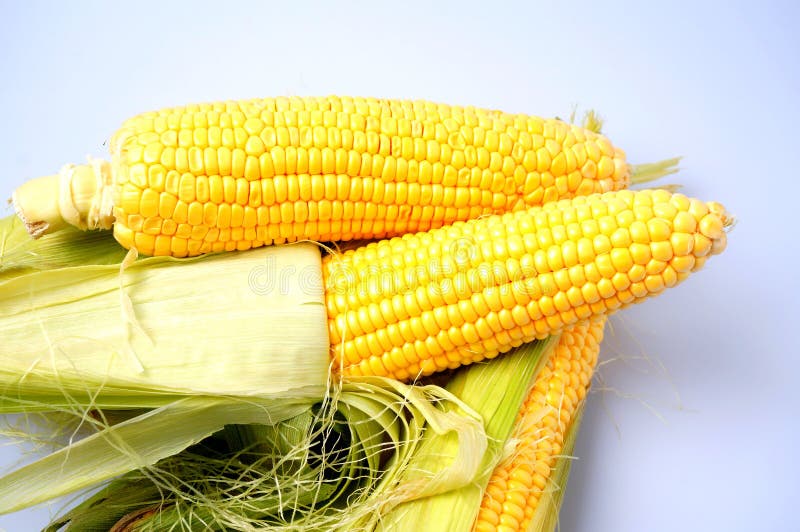 Delicious Yellow Summer Corn on the Cob Stock Photo - Image of macro ...