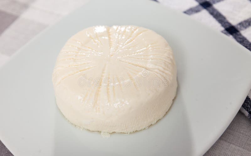 Delicious young cheese stock photo. Image of homemade - 244696438