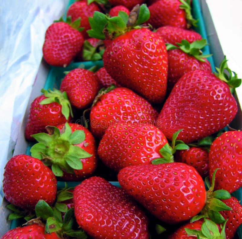 Deliciousness stock image. Image of fruit, ripe, delicious - 21804373