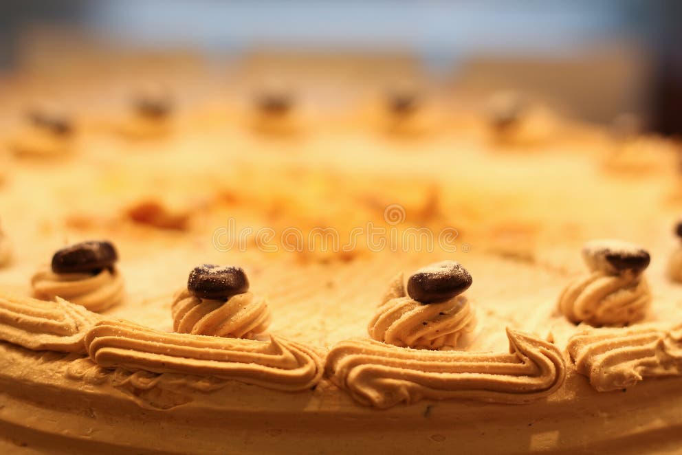 Delicous cream cake stock image. Image of praline, catering - 38168783
