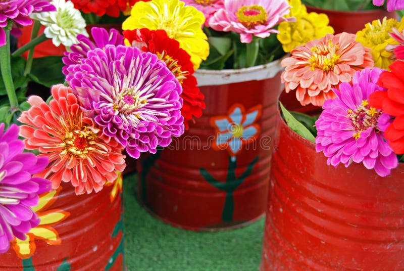 Delight Full stock image. Image of design, bouquet, summer - 6794095