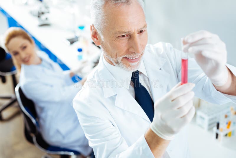 Delighted Practitioner Working in the Laboratory Stock Photo - Image of ...
