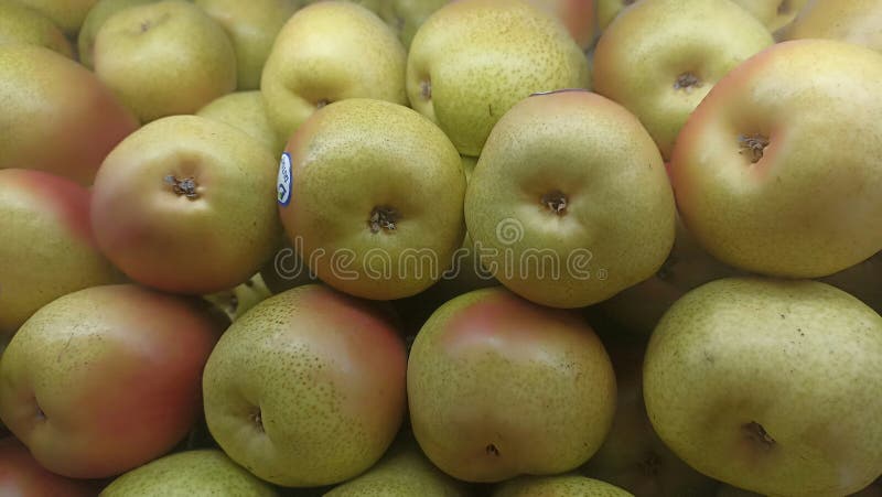 A Delightful Array of Pear Varieties, Each with Its Own Unique Taste ...