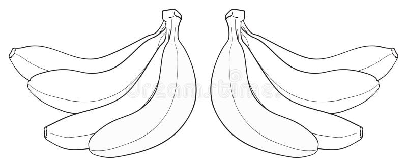 Four Bananas Stock Illustrations – 229 Four Bananas Stock Illustrations ...