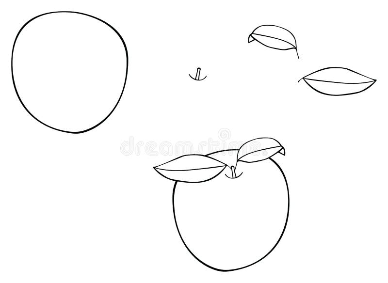 Delightful Garden - Round Apple with Two Leaves Stock Illustration ...