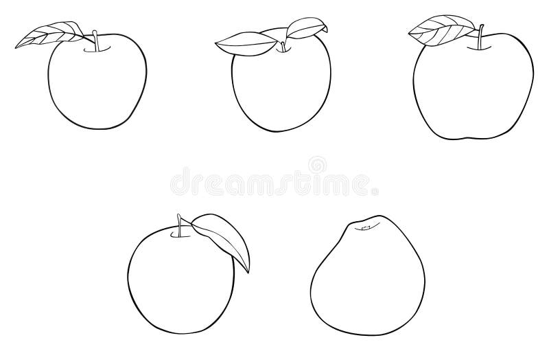 Delightful Garden Set 5 Apples Leaves Stock Illustrations – 1 ...
