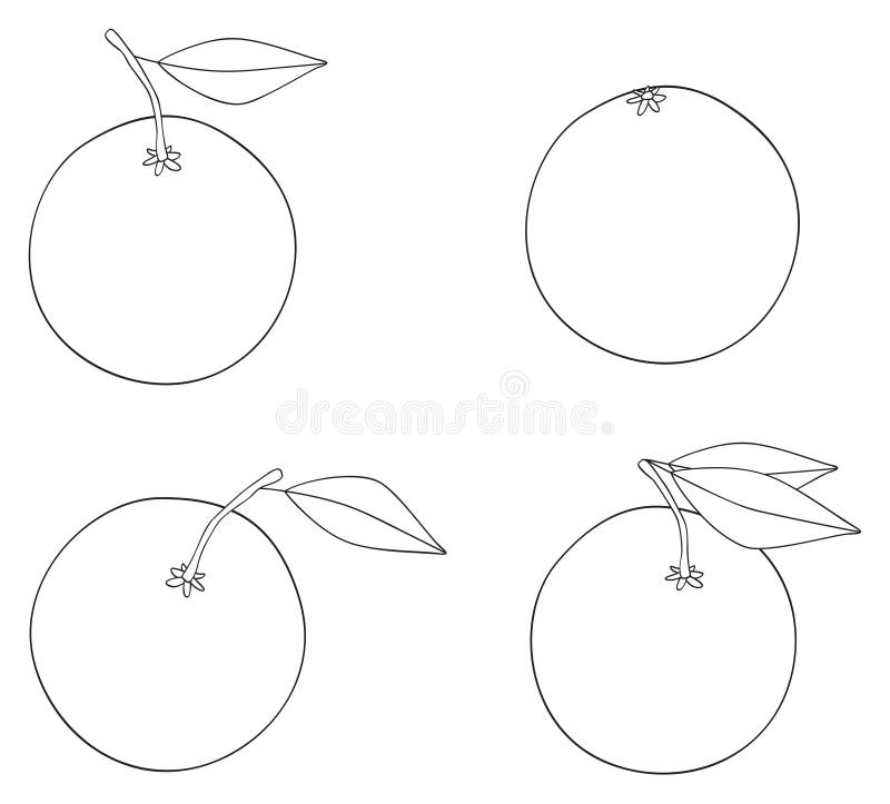 Four Oranges Stock Illustrations – 86 Four Oranges Stock Illustrations ...