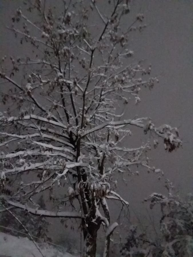 Delightful stock image. Image of besuty, nature, soul - 141756435