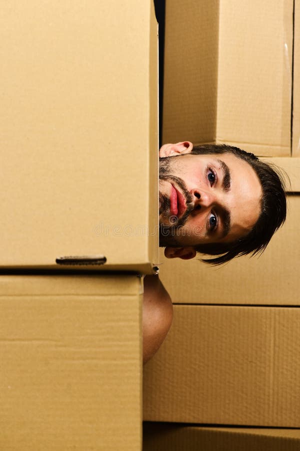 290 Man Looking Pile Cardboard Boxes Stock Photos - Free & Royalty-Free ...