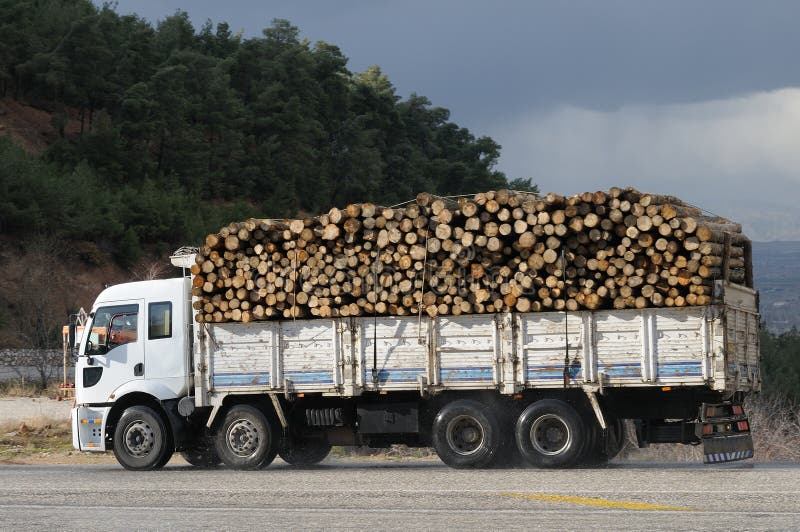 Logging truck logs at mill stock image. Image of trees - 32817811