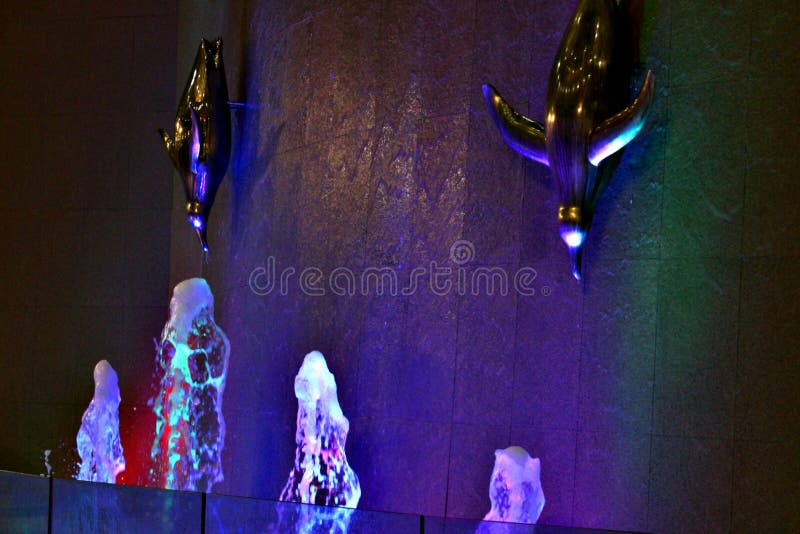 Delphine light water stock image. Image of lights, view - 117068907