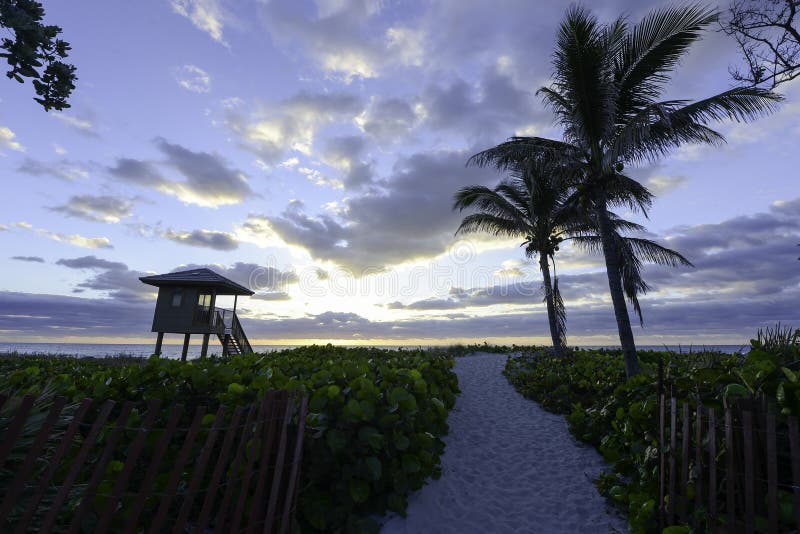 Delray Beach in Florida at Sunrise. Stock Photo - Image of ocean, trees ...