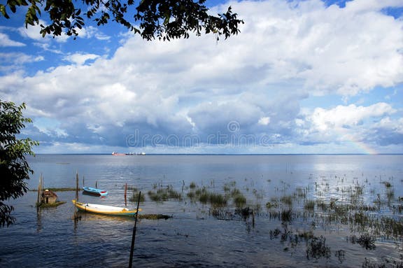 The Delta of the Amazon River Stock Photo - Image of boat, amapa: 21004978