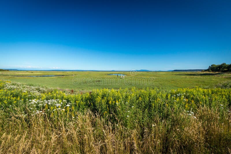 Delta BC area stock photo. Image of recreation, columbia - 211795658