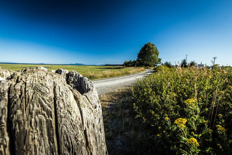 Delta BC area stock image. Image of nature, landscape - 211795667