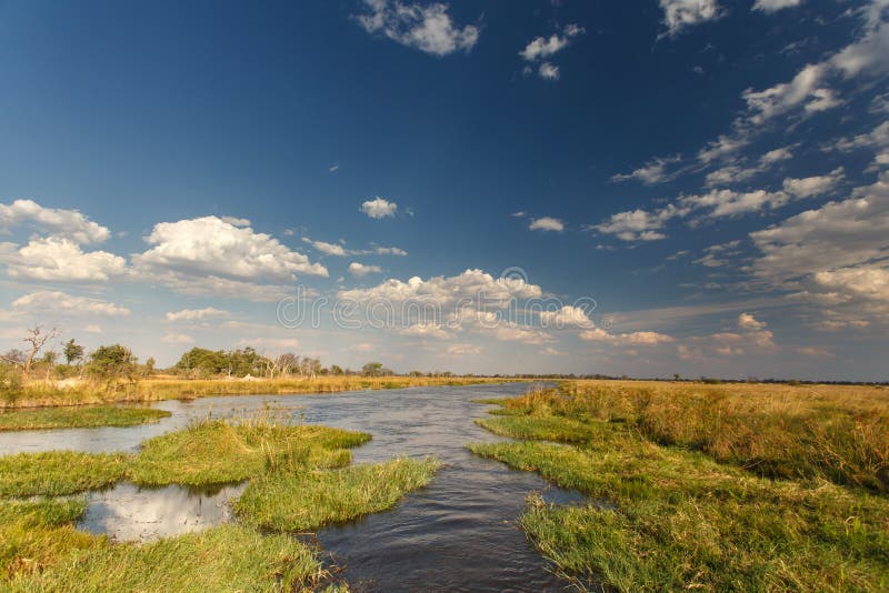 Delta de Okavango, África imagen de archivo. Imagen de naturalizado ...