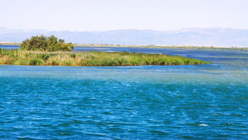 Delta del fiume Ebro immagine stock. Immagine di paesaggio - 49196467