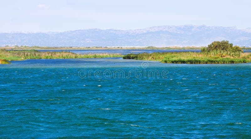 Delta Del Fiume Ebro Di Estate Immagine Stock - Immagine di ebro, fiume ...