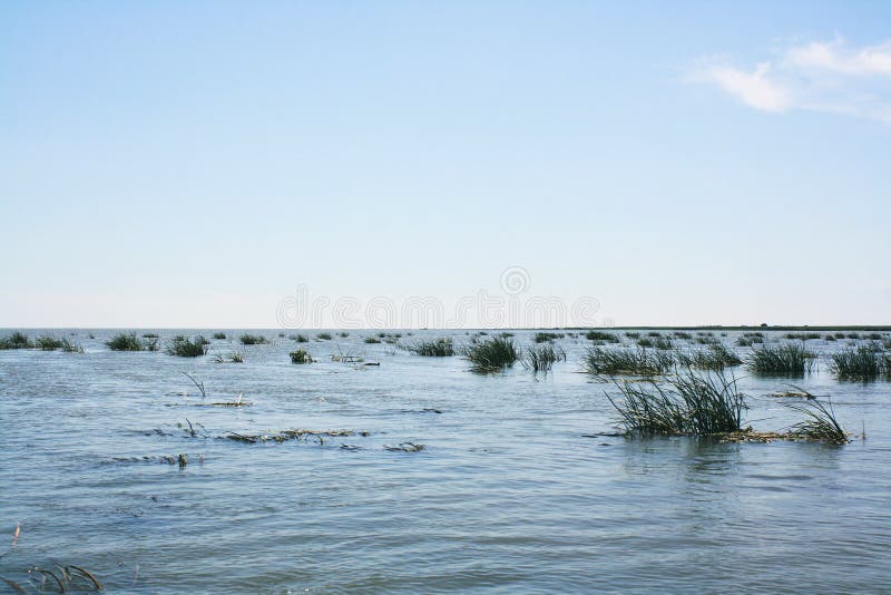 Delta del fiume Volga fotografia stock. Immagine di delta - 128587326