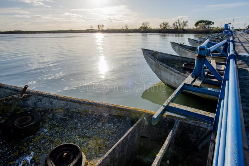 Pontoon Bridge Float Placidly River Po Italy Stock Photos - Free ...
