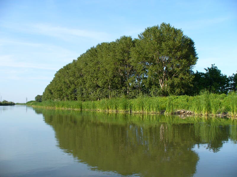 Delta Dunarii Picture. Image: 6000475